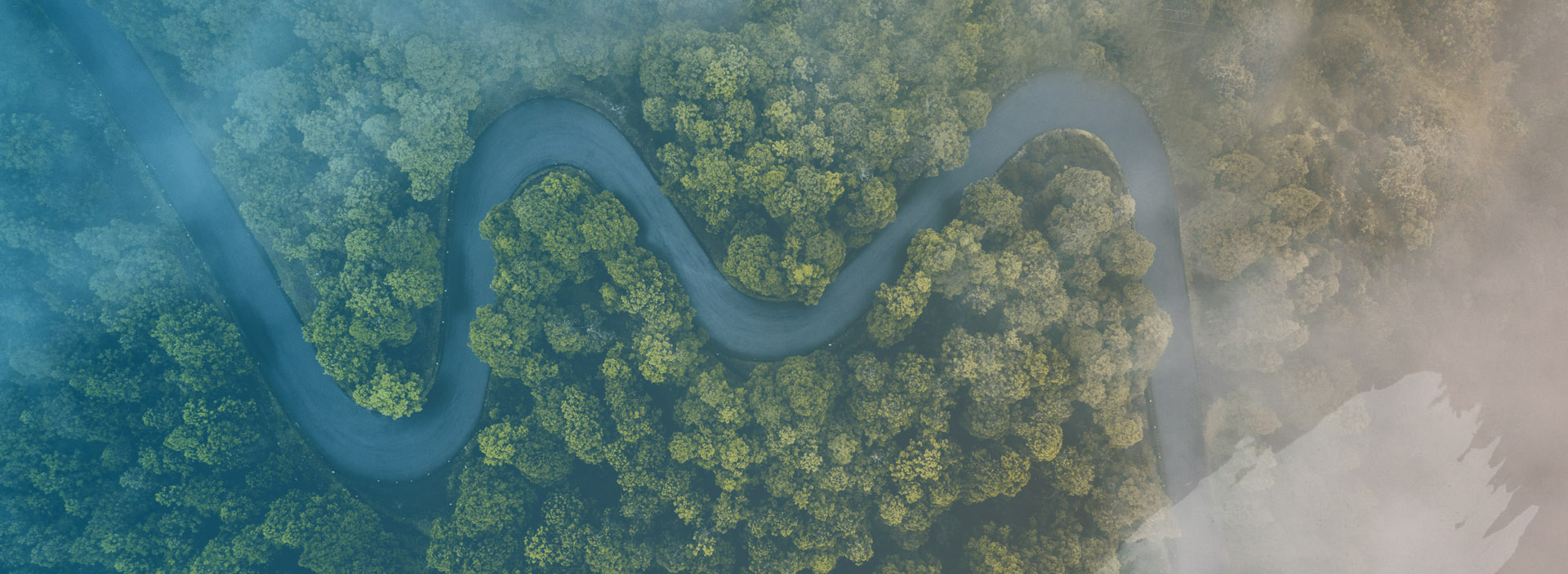 Specialist Content Writing - Momo Media